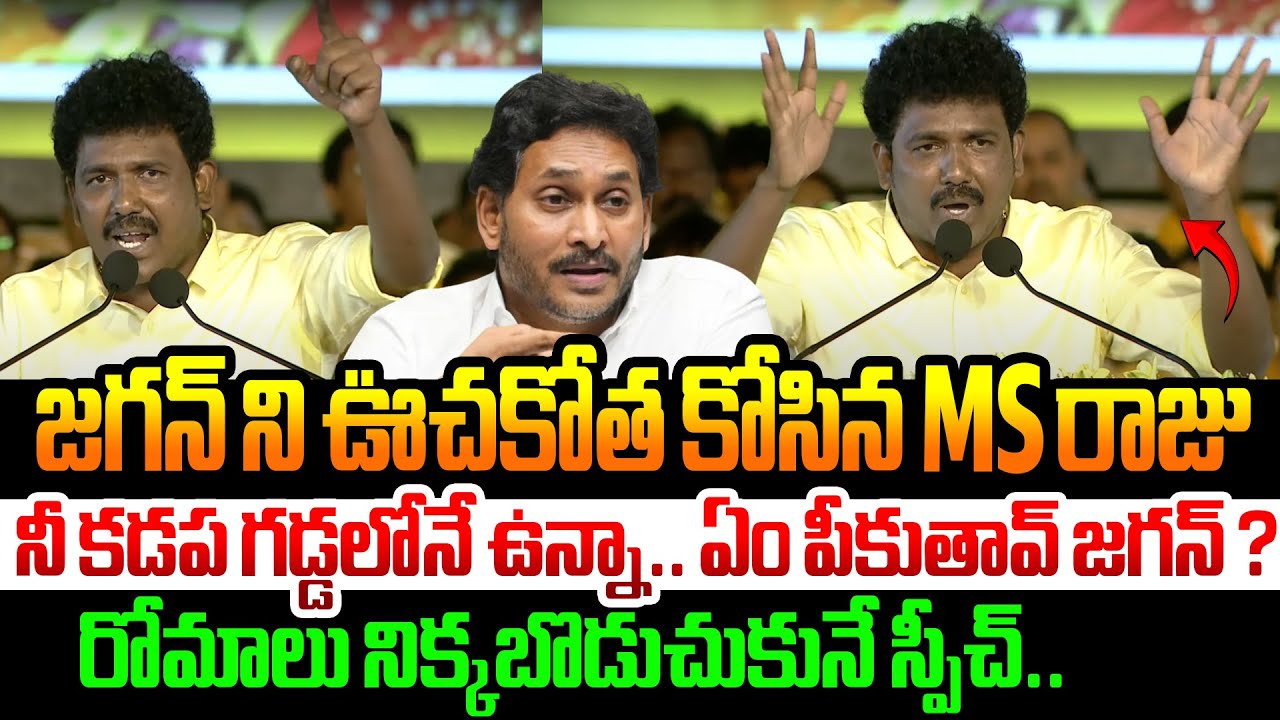 జగన్ ని ఊచకోత కోసిన MS Raju నీ కడప గడ్డలోనే ఉన్నా.. ఏం పీకుతావ్ జగన్ ...