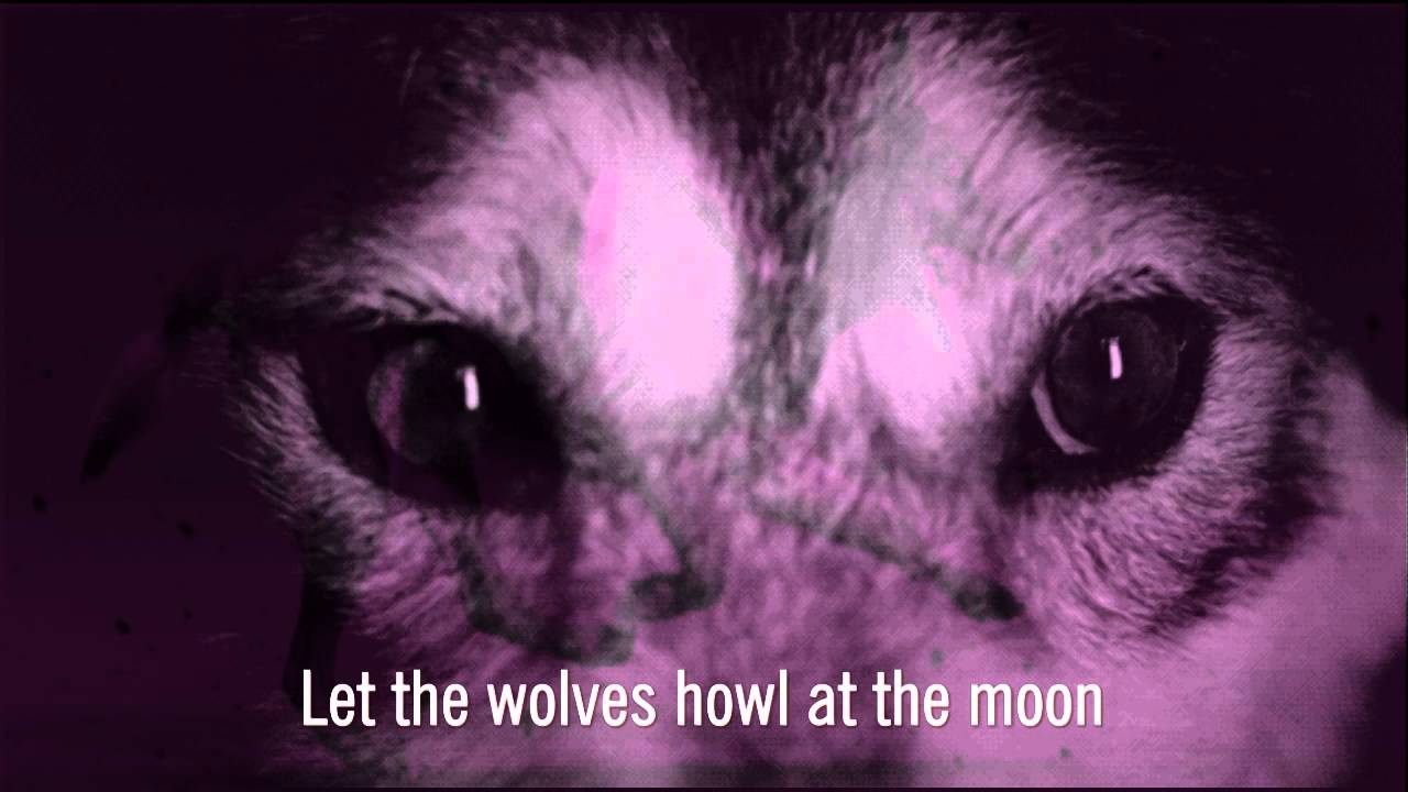 Super Furry Animals - Let the wolves howl at the moon - YouTube