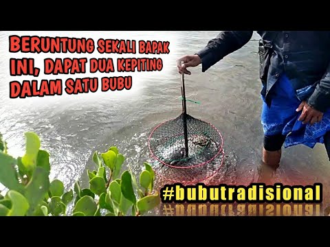MENANGKAP KEPITING BAKAU MENGGUNAKAN PERANGKAP BUBU | CATCHING MANGROVE ...