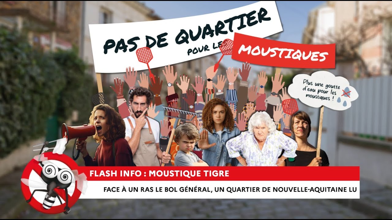Pas de quartier pour les moustiques ! - YouTube