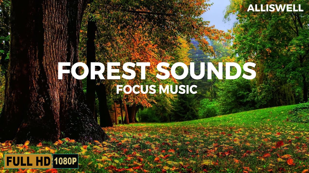 Relaxing Nature Sounds Forest Sounds and Birds Singing- Stress Relief ...