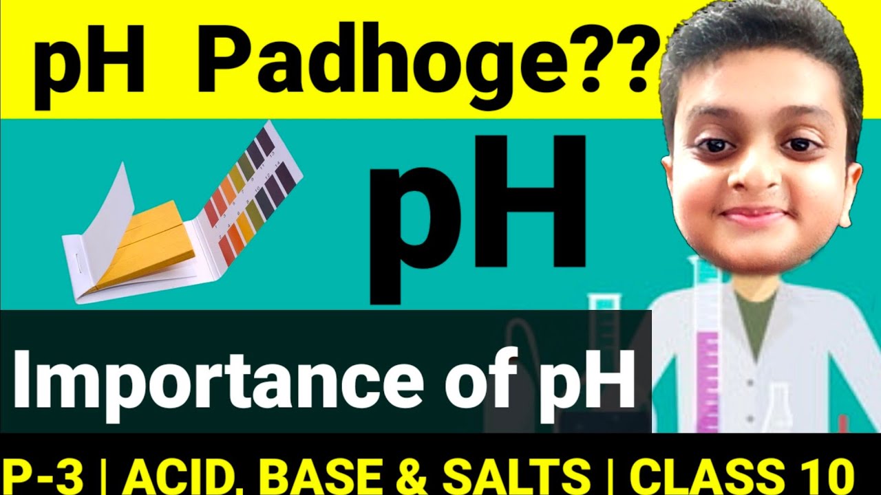 pH and Importance of pH in Daily Life | Acid,Base & Salt | Class 10 ...