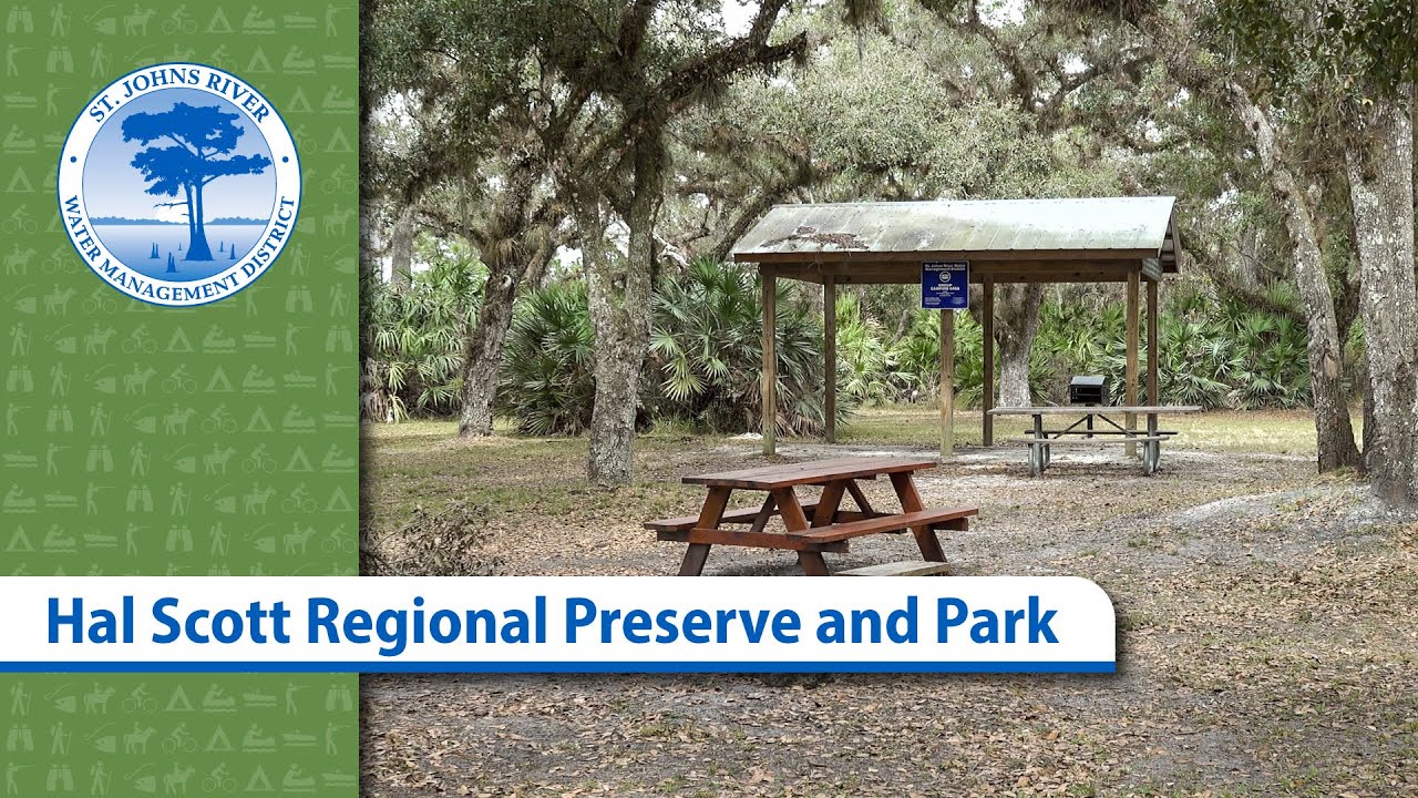 Hal Scott Regional Preserve and Park - YouTube