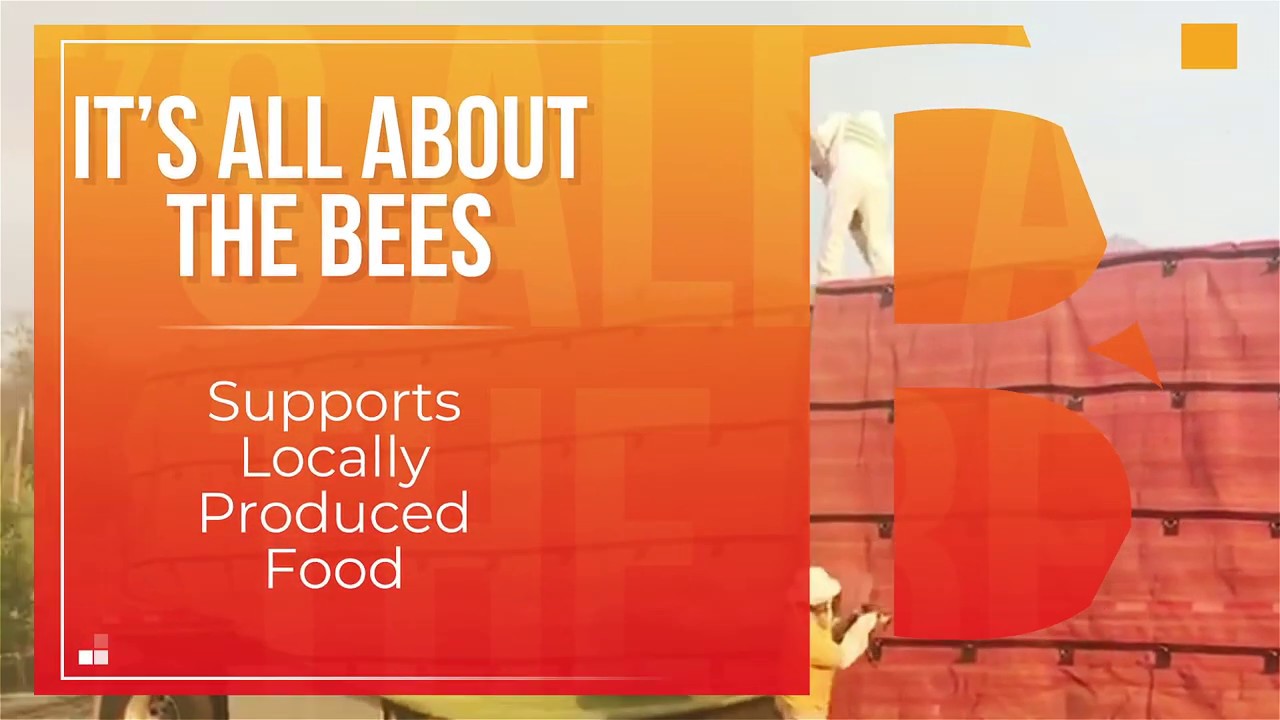 Bee Well Honey: Helping Save the Planet One Bee at a Time - YouTube
