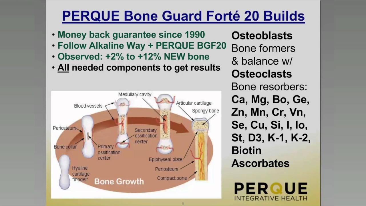 PERQUE Bone Health Part 1 Clinical Principles - YouTube
