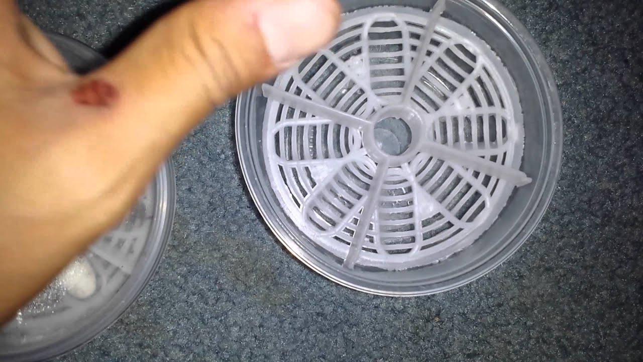 Eggs Organizer and New Substrate - YouTube