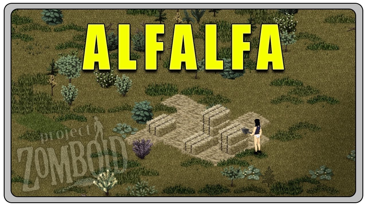 PROJECT ZOMBOID [Build 38.10] - #20 "Alfalfa" - Gameplay Español - YouTube