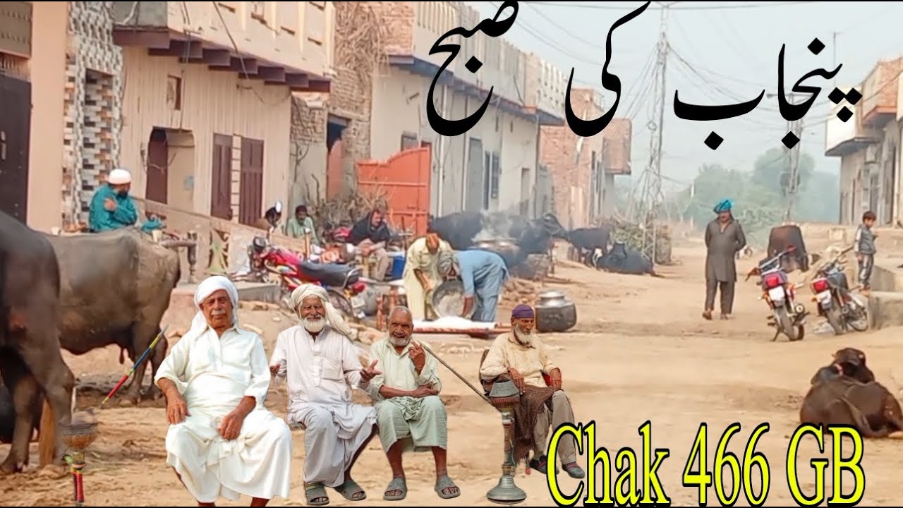 Chak 466 GB Samundri || Punjab Village lifestyle || Pakistan Desi ...