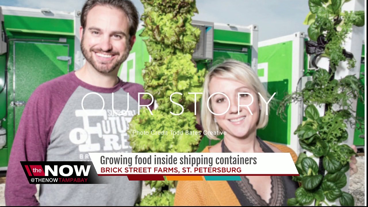 Growing food inside shipping containers - YouTube