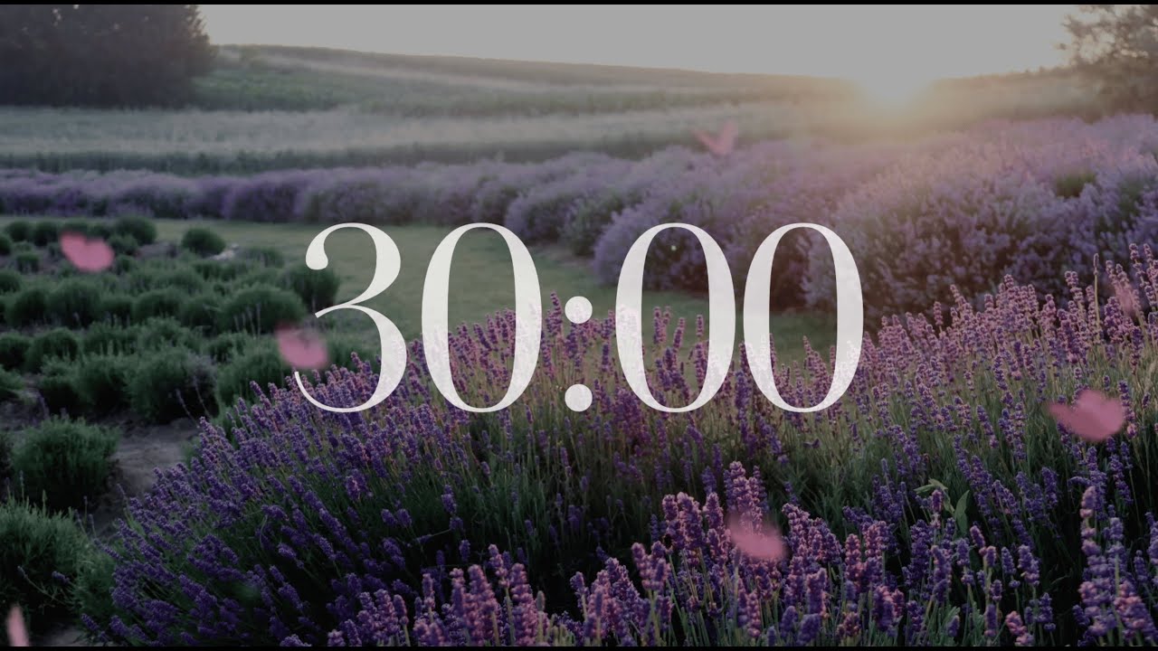 30 Minute Countdown Timer (Lillies/Field/Relaxing Music) - YouTube