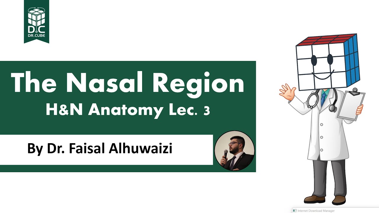 The Nasal Region (H&N Anatomy Lec.3) - YouTube