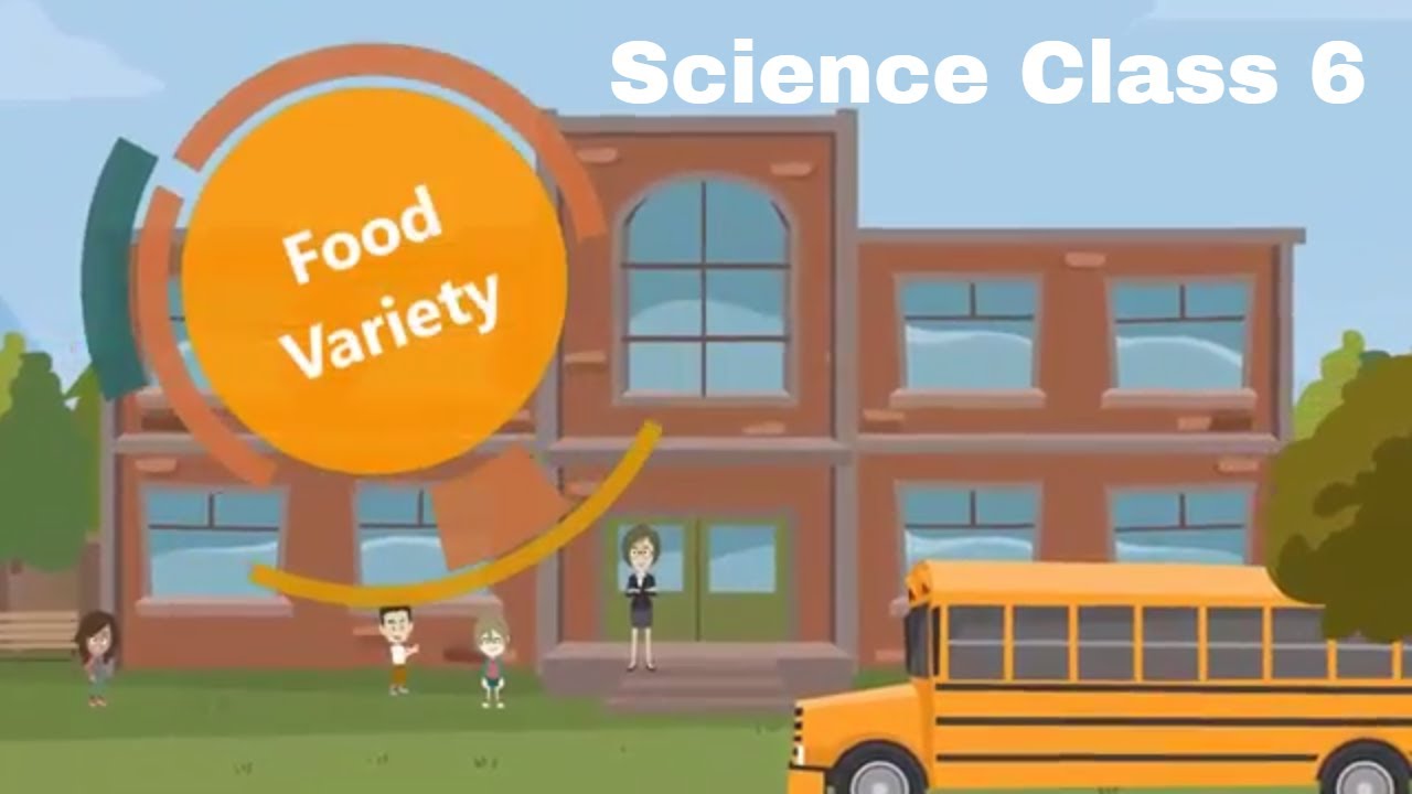 Food Variety and Ingredient | Grade 6 Science C1E2 | Hindi / Urdu - YouTube