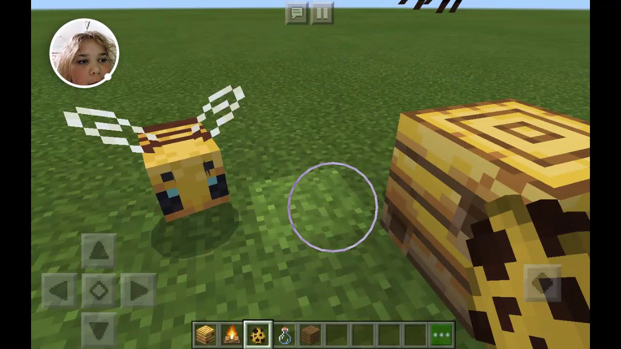 How bees work in minecraft - YouTube