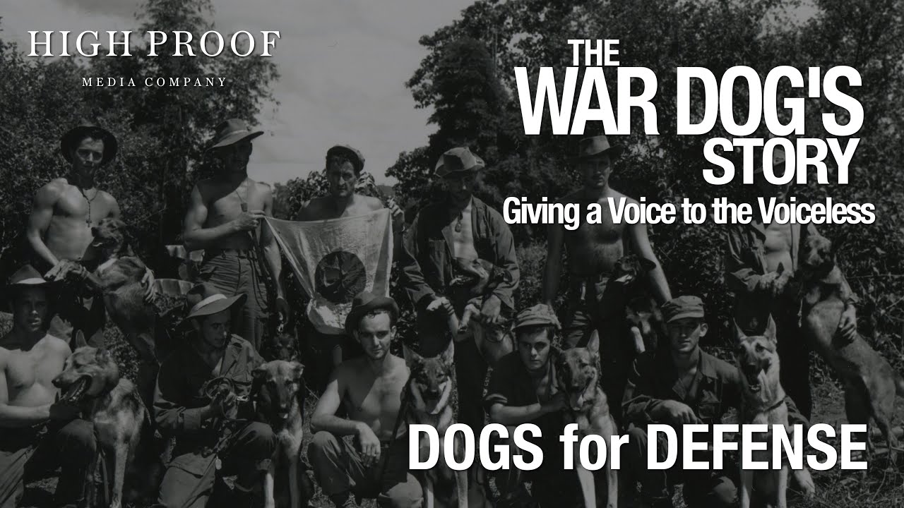The War Dog's Story: Dogs for Defense - YouTube