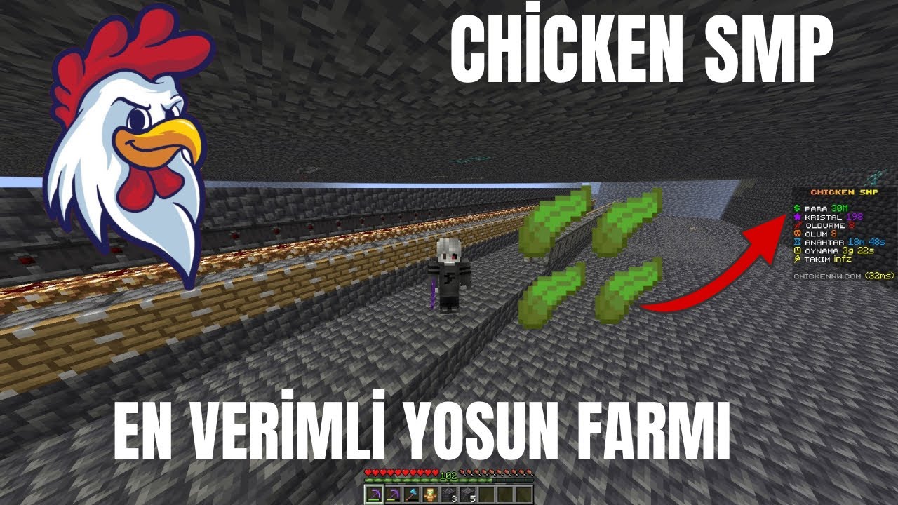 Chicken Smp En Verimli Yosun Farmı Yapımı - YouTube