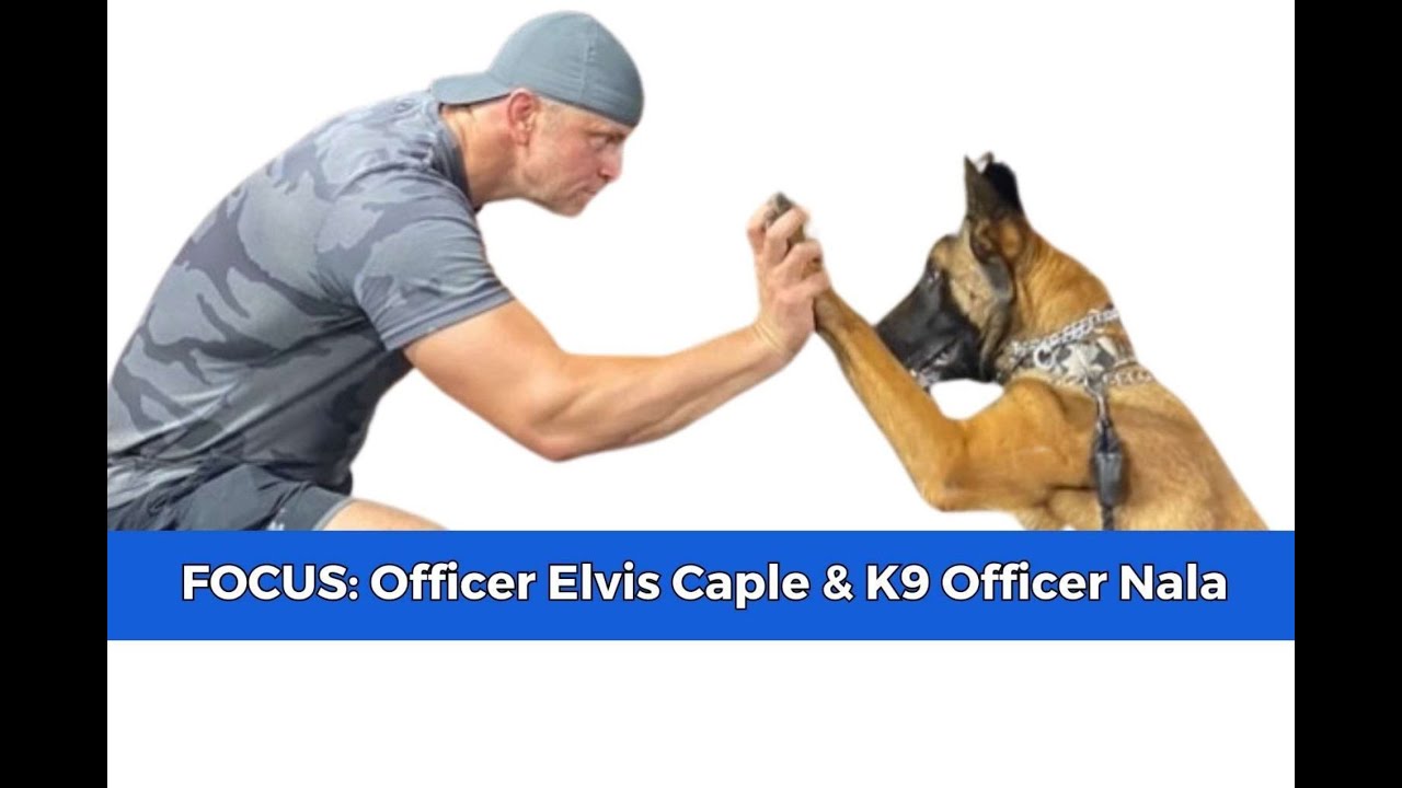 K9 Officer Nala struts her stuff! - YouTube