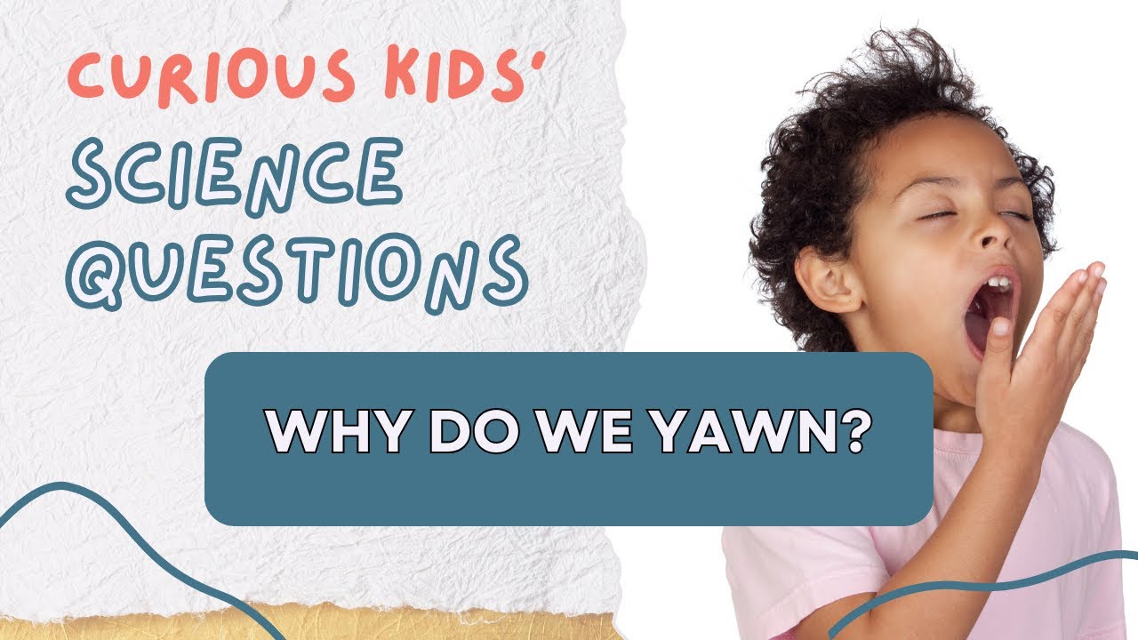 Why Do We Yawn? | Human Body Science for Kids - YouTube