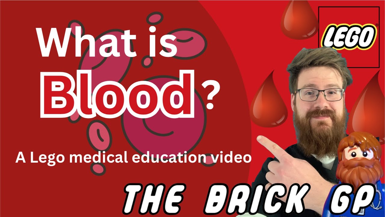 What is blood? A Lego Teaching video - YouTube