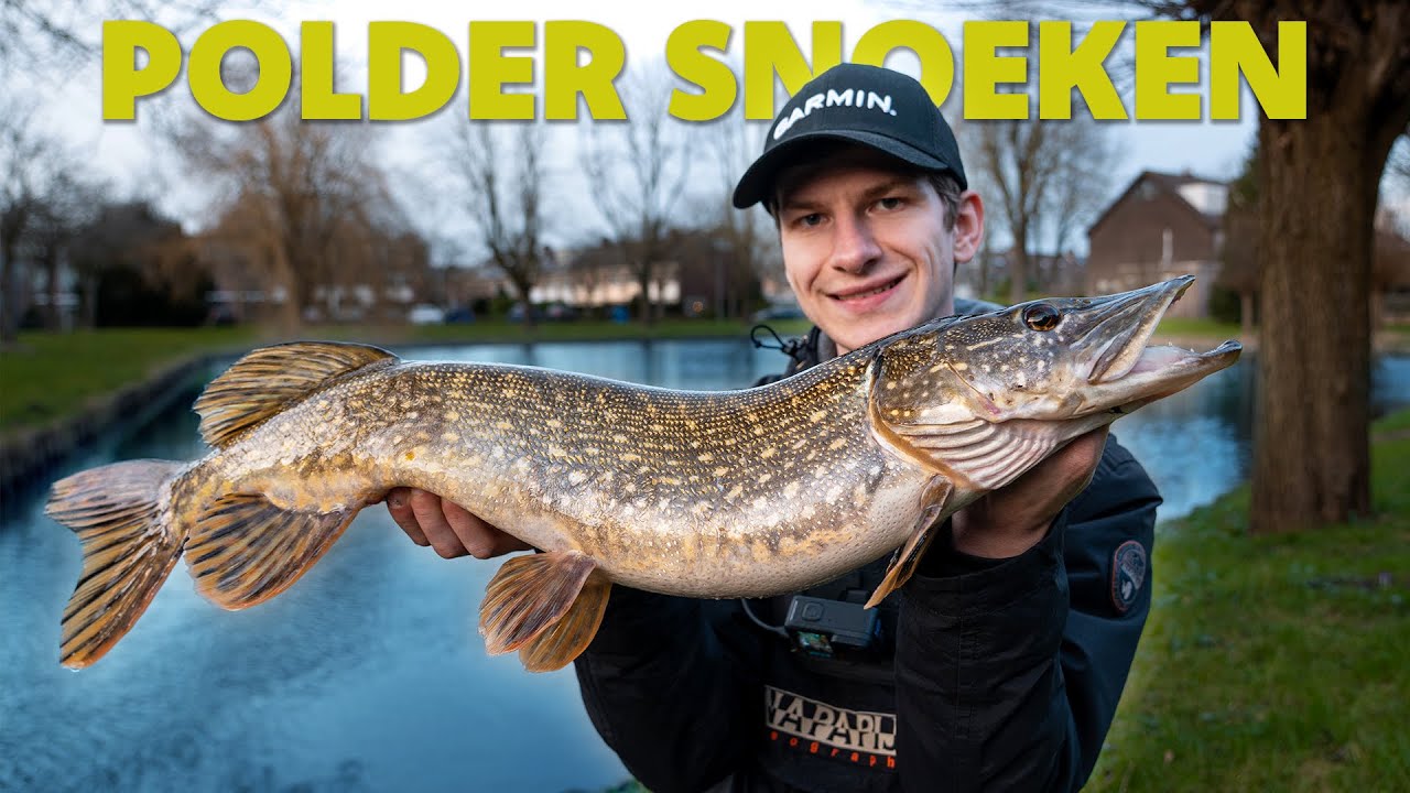 Vissen op POLDER SNOEKEN met kunstaas!! - YouTube