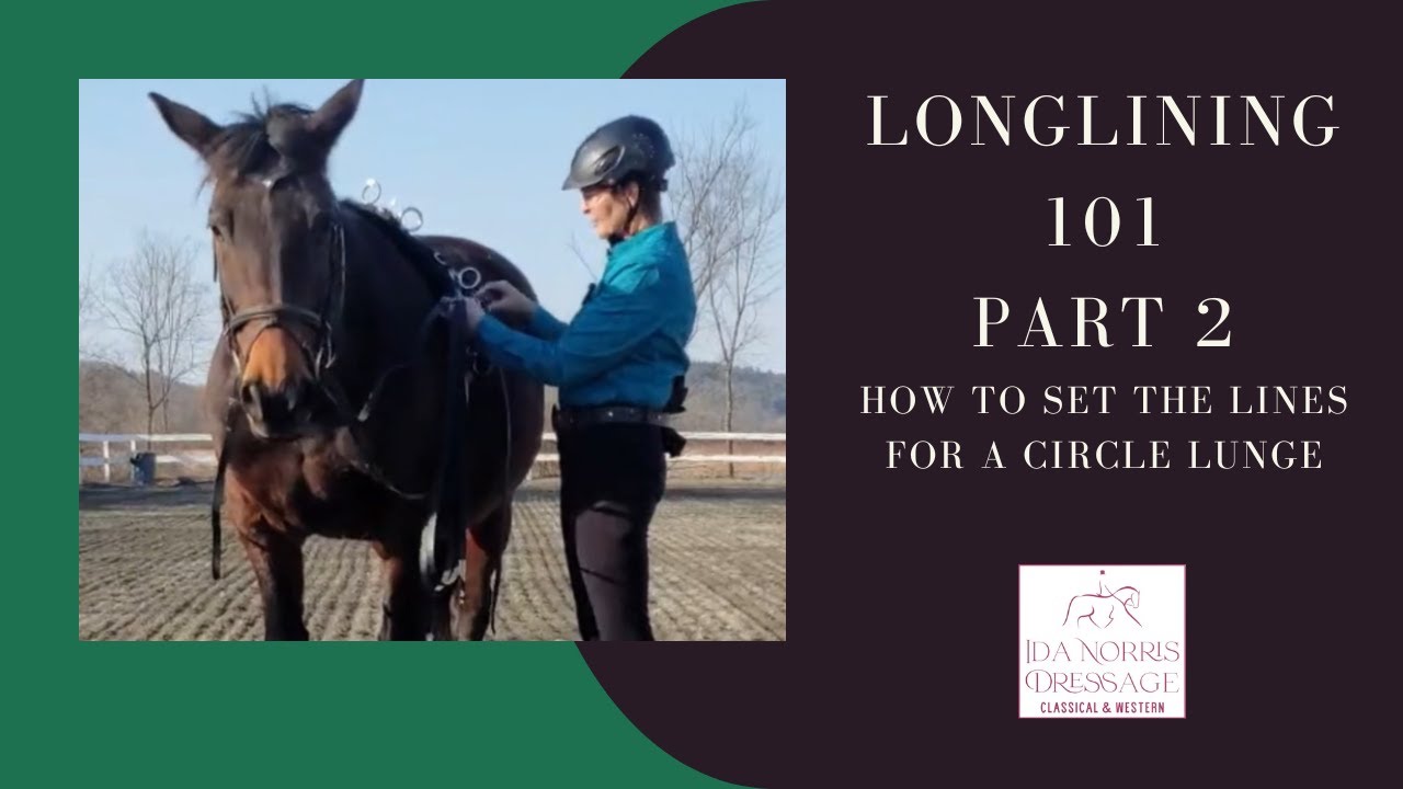 Longlining Part 2 // How to set the lines for a lunge circle - YouTube