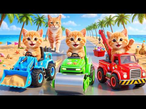Mama Cat Trims Fur on the Farm and Makes Tiger Hat For Kittens At Home🐾🎩🐯