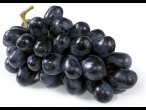 Como beneficia el consumo de la uva negra en nuestra salud - YouTube