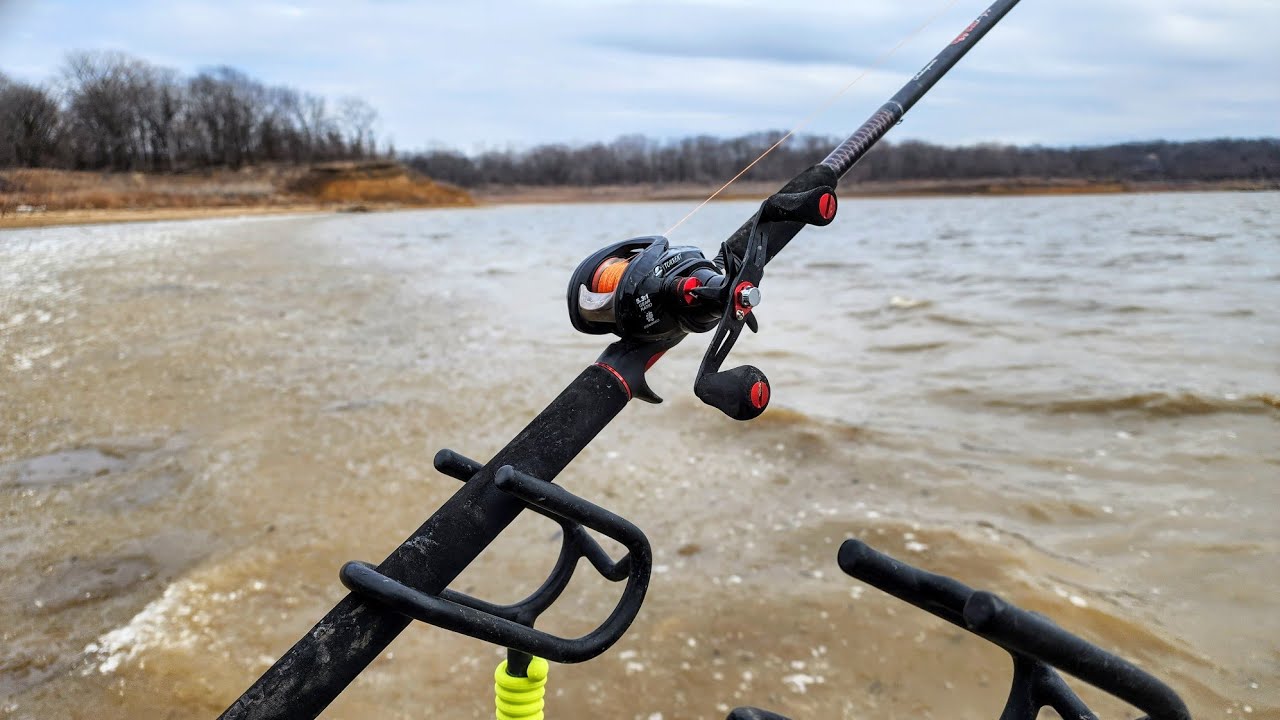 These Fish Were GORGING ON ROTTEN BAIT!! (Crazy Action) - YouTube