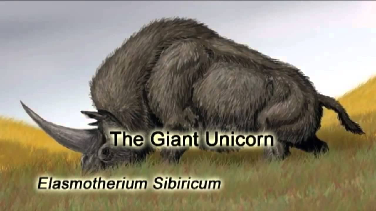 THE TRUTH ABOUT UNICORNS! - YouTube