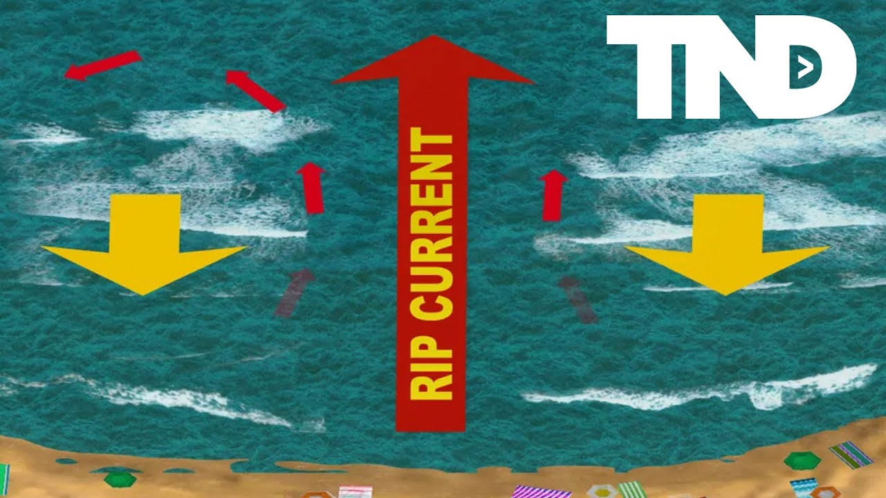 Understanding rip currents; how to keep yourself safe this summer - YouTube