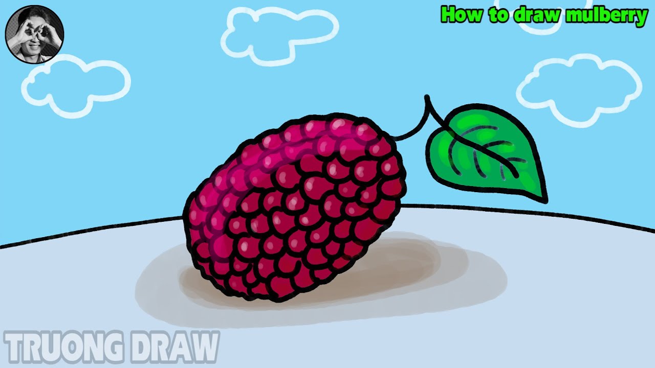 How to draw mulberry easy step by step,mulberry drawing for beginners ...