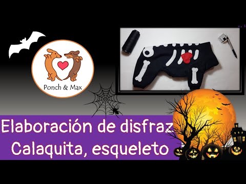 DIY 🐶 Elaboración de disfraz calavera calaca huesito 🥰 Ropa para perros ...