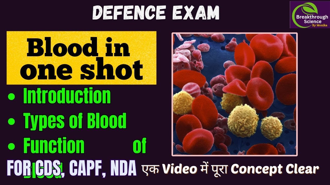 Blood and its Components and Functions | Blood and its Function | Blood ...