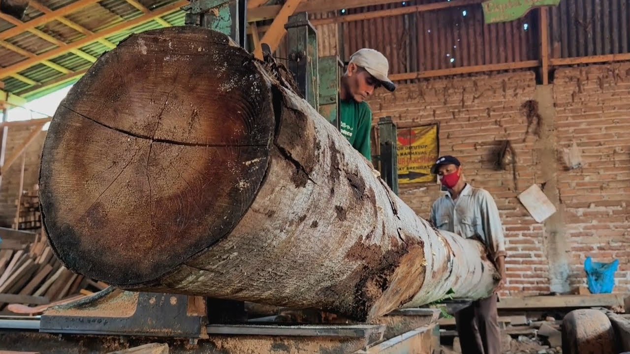 The Most Satisfying Wood Cutting You’ll Ever See | No Music, Just Sound ...