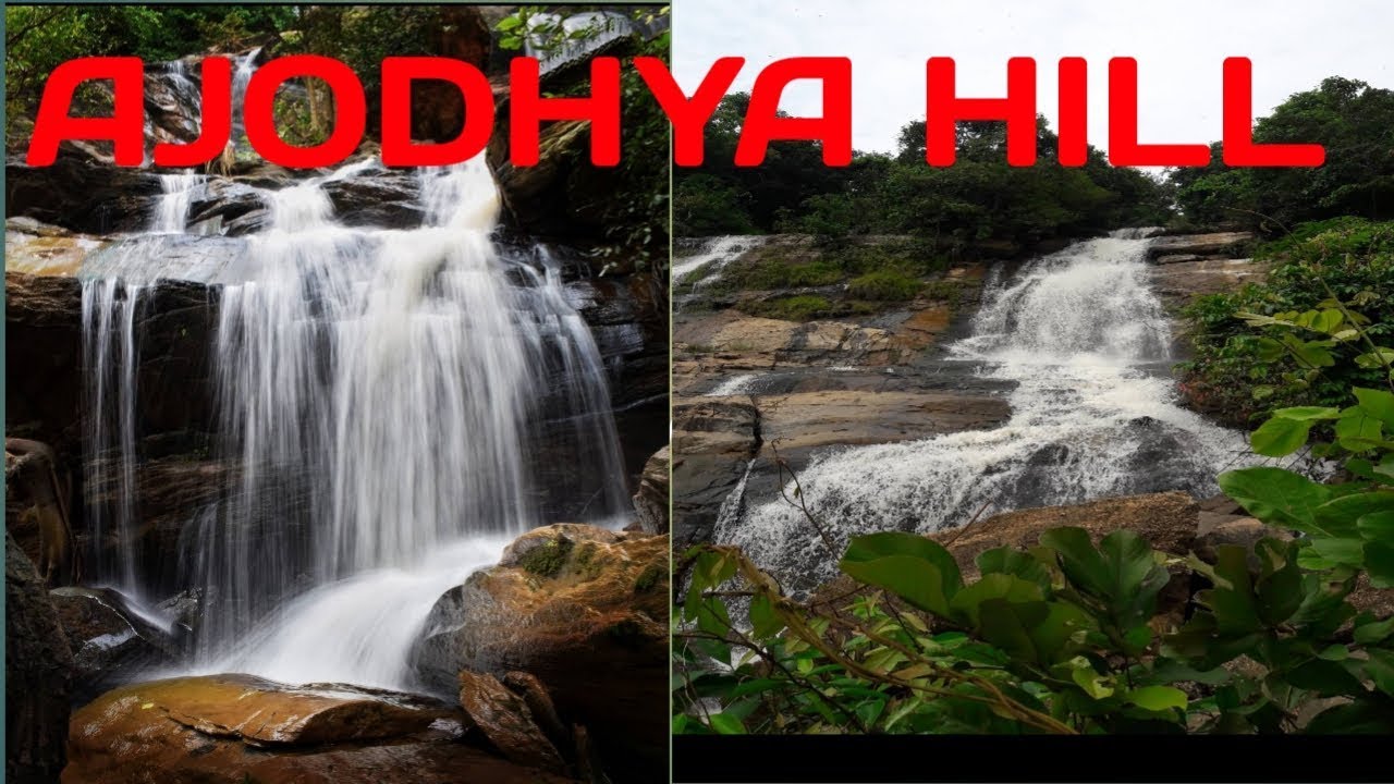 Ajodhya Hill || Forest Reserve Area |Vlog|NAJIBUL MIDDYA - YouTube