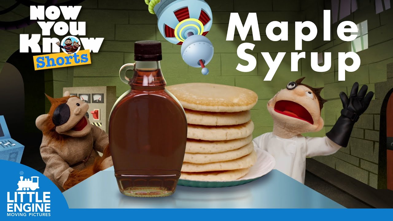 Maple Syrup🥞 | Now You Know | Cartoons for Kids 🧑🏻🐵 - YouTube