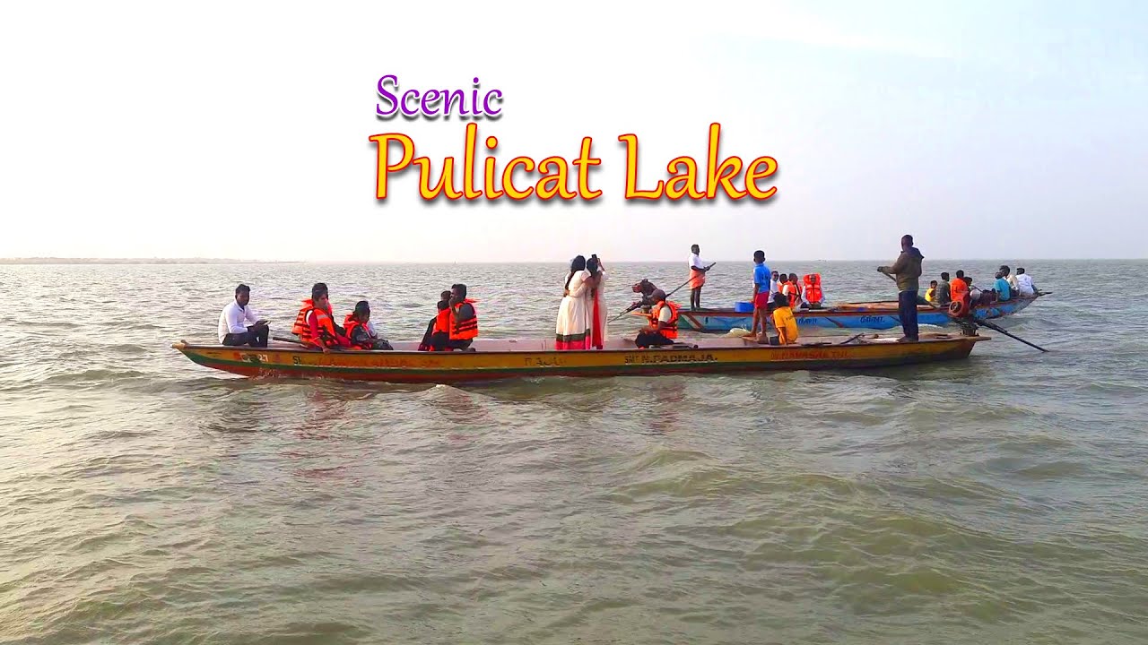Pulicat Lake Boating ! Amazing view of Pulicat Lake ! Indian's Largest ...