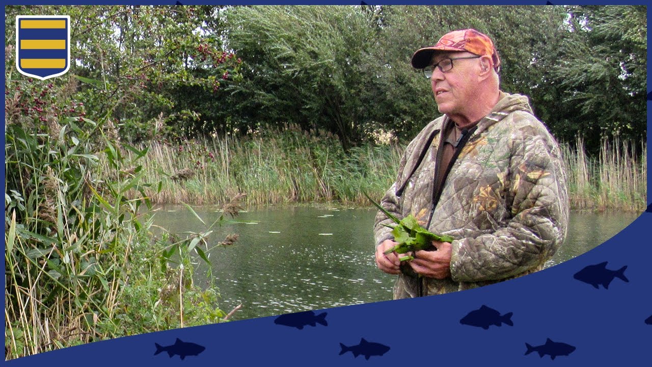 A conversation with Chris - Fishing Lake Rejuvenation - YouTube