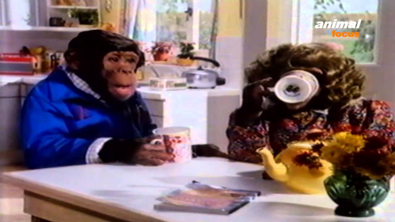 PG Tips - Spaghetti Western - Chimps in kitchen - YouTube