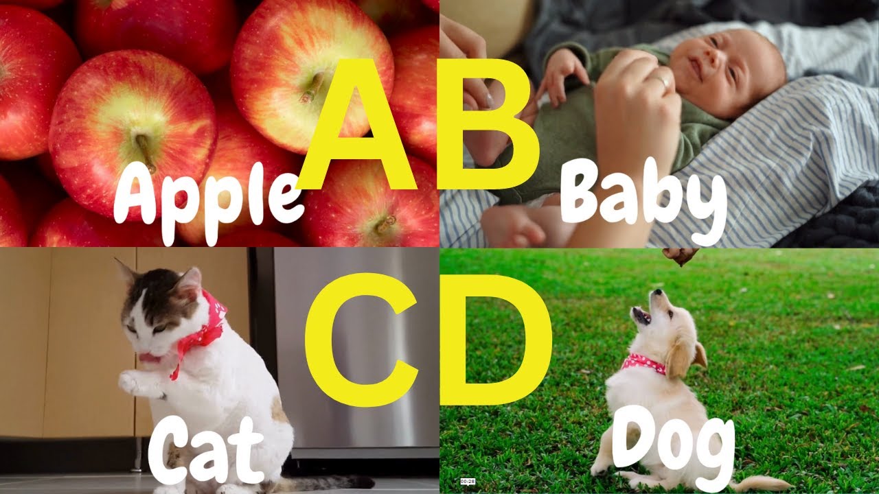 Learn The ABCs | The Alphabet Song For Kids | ABC Song | Kids Song/ ABC ...