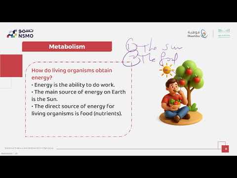 NSMO Olympiad -Biology- Lesson 9 Cellular Energy