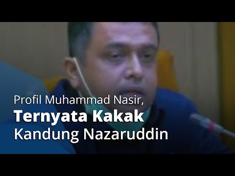 Profil Muhammad Nasir, Anggota Dewan yang Usir Dirut Inalum, Ternyata Kakak Nazaruddin