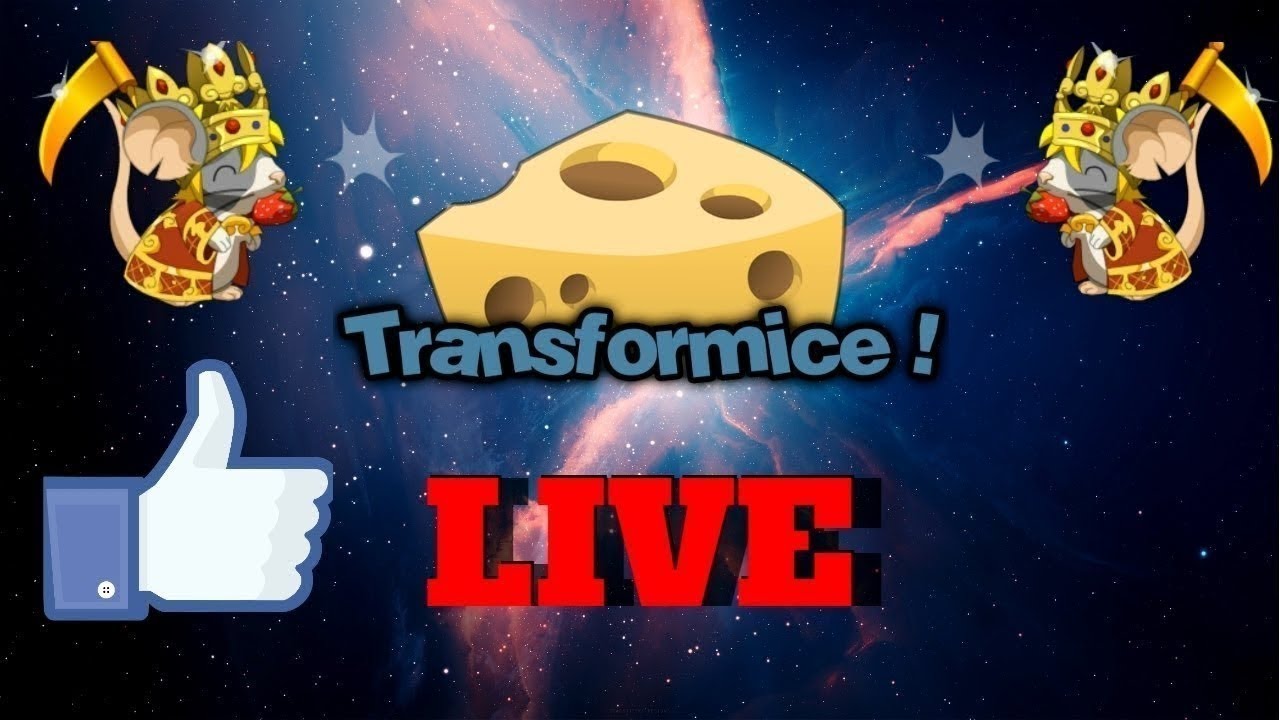 Transformice live Stream - YouTube