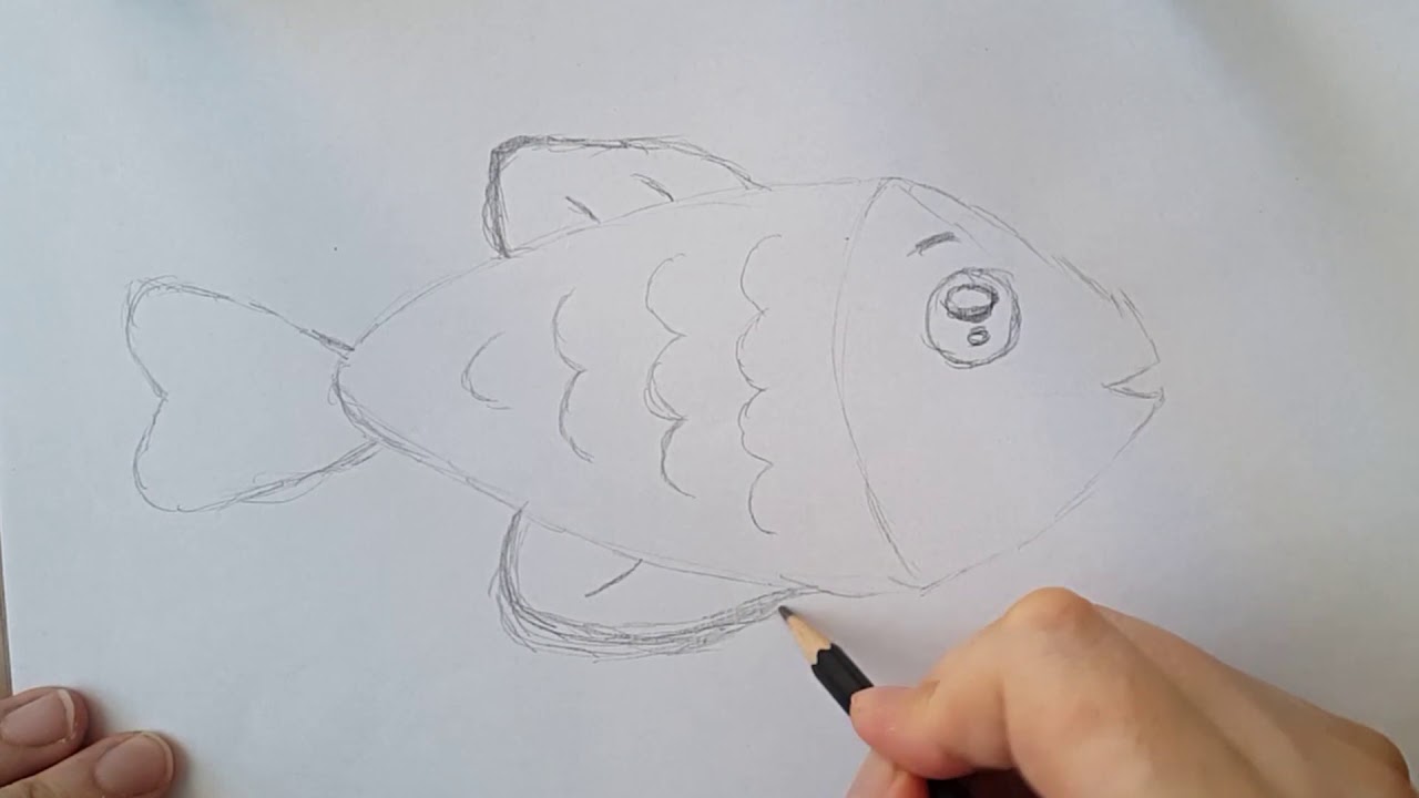 KOLAY BALIK ÇİZİMİ / EASY DRAW - YouTube