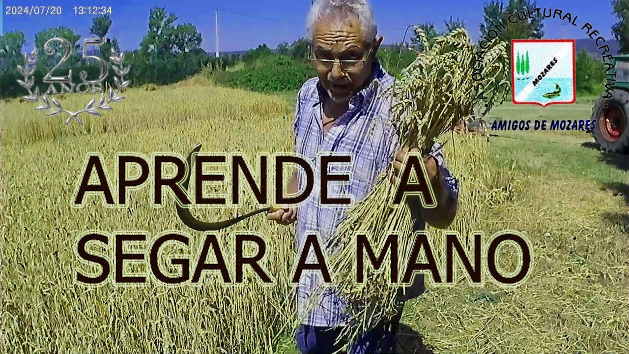 APRENDE A SEGAR A MANO - YouTube