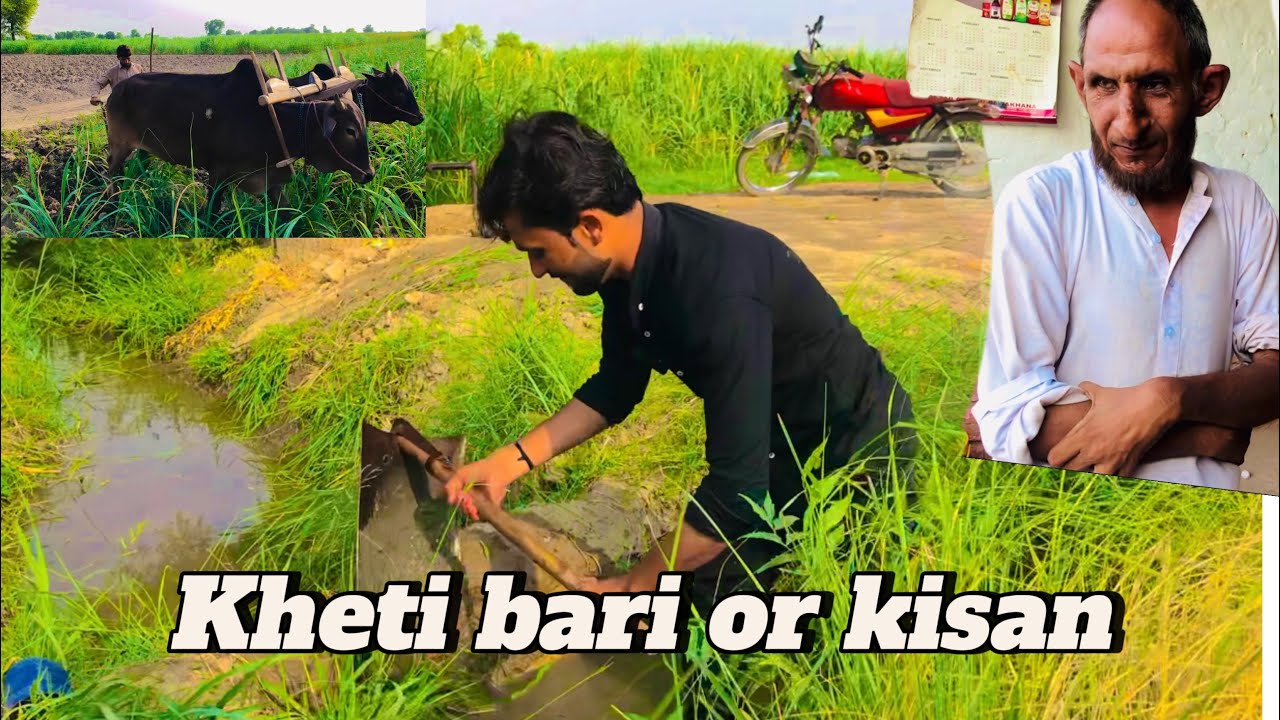 Aj ka kisan or kheti bari or kuch funny momint - YouTube
