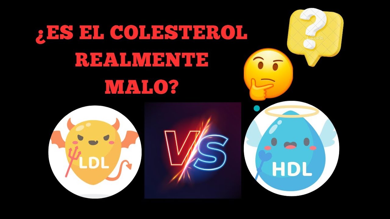 HDL vs. LDL: ¡Descubre los Secretos del Colesterol Bueno y Malo!🤯🧐 ...