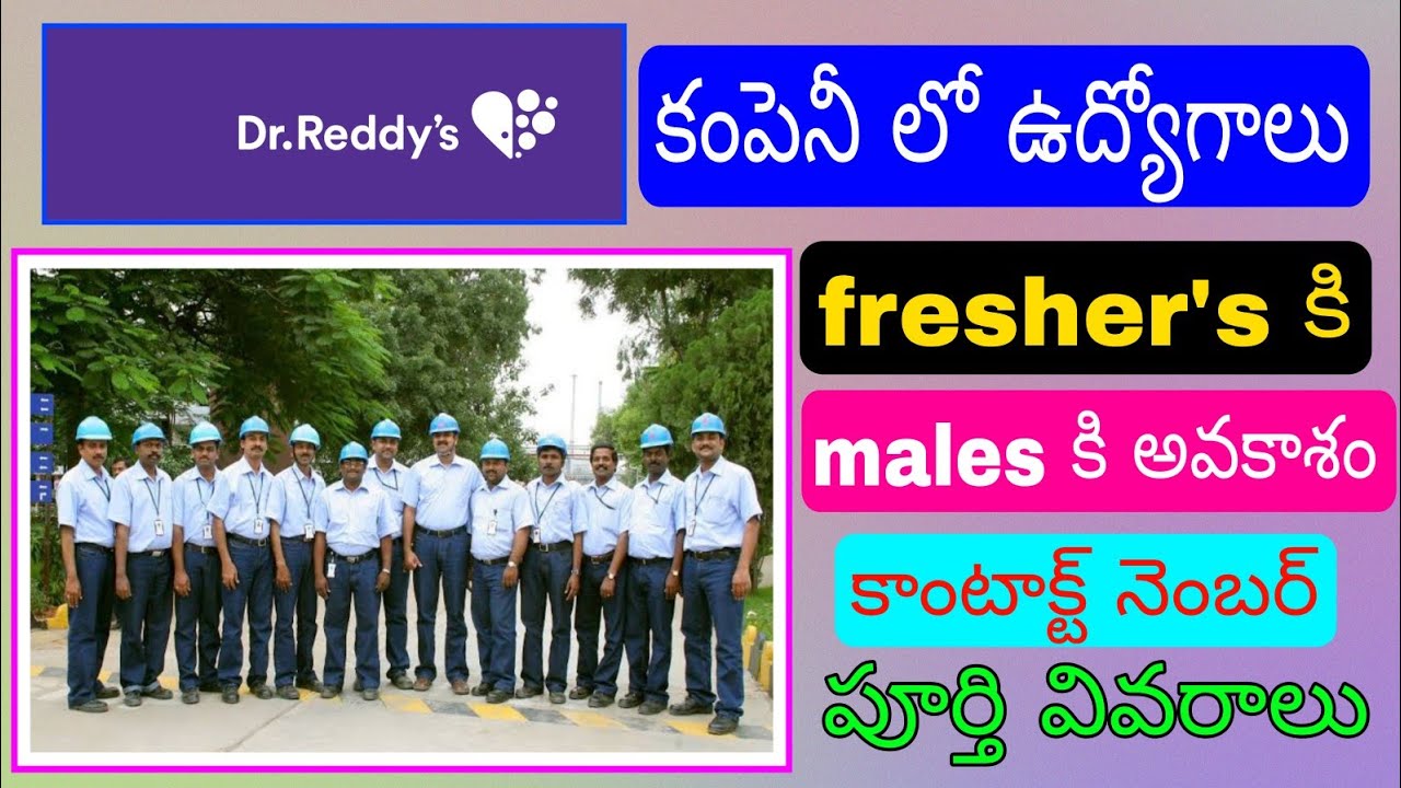 Dr. Reddy’s Laboratories private limited freshers jobs openings full ...