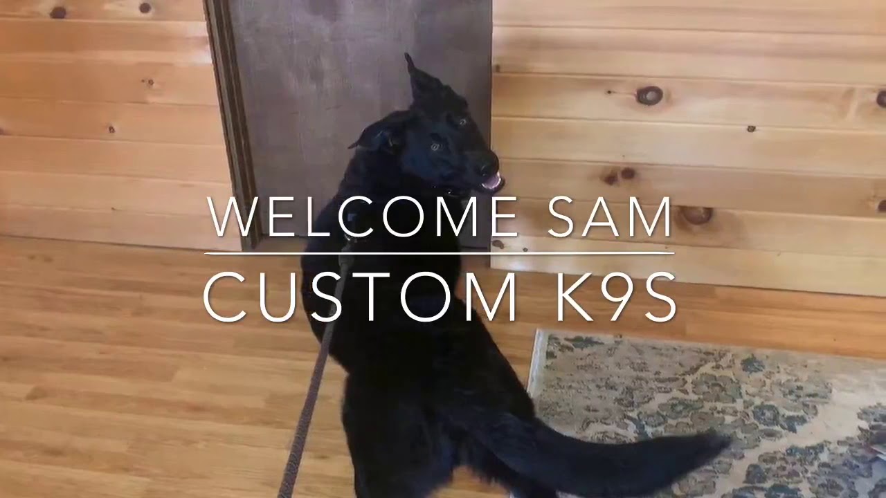 Welcome Sam! - YouTube