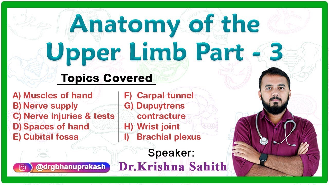 Anatomy of the Upper Limb ( Part - 3 ) : Fmge, Neet pg, NEXT and USMLE ...