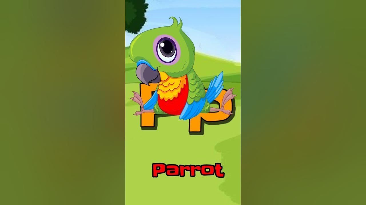 P for Parrot |Learn alphabets with live examples|phonics|alphabets|kids ...